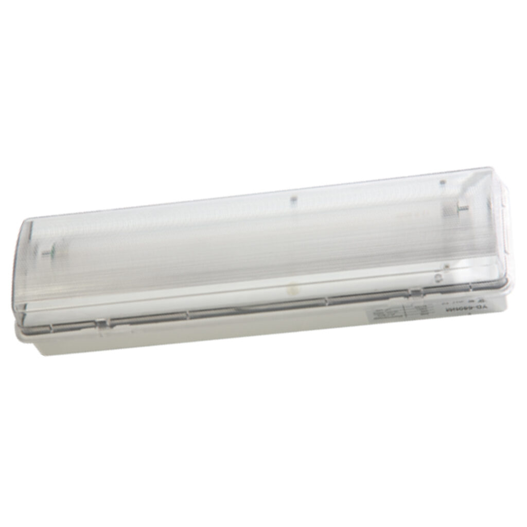 Emergency Light